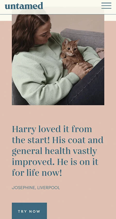 Cómo lograr un diseño web móvil atractivo para tu empresa | SendPulse