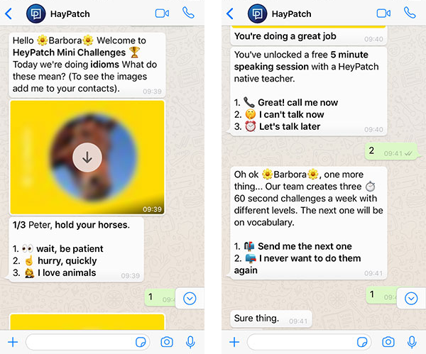 24 esempi di chatbot su WhatsApp e casi d'uso nei vari settori [2025 ...